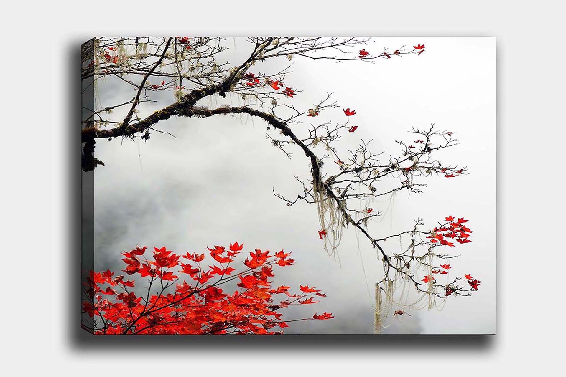 Decorative Canvas Painting 70x100 - Boligtilbehør | Trademax