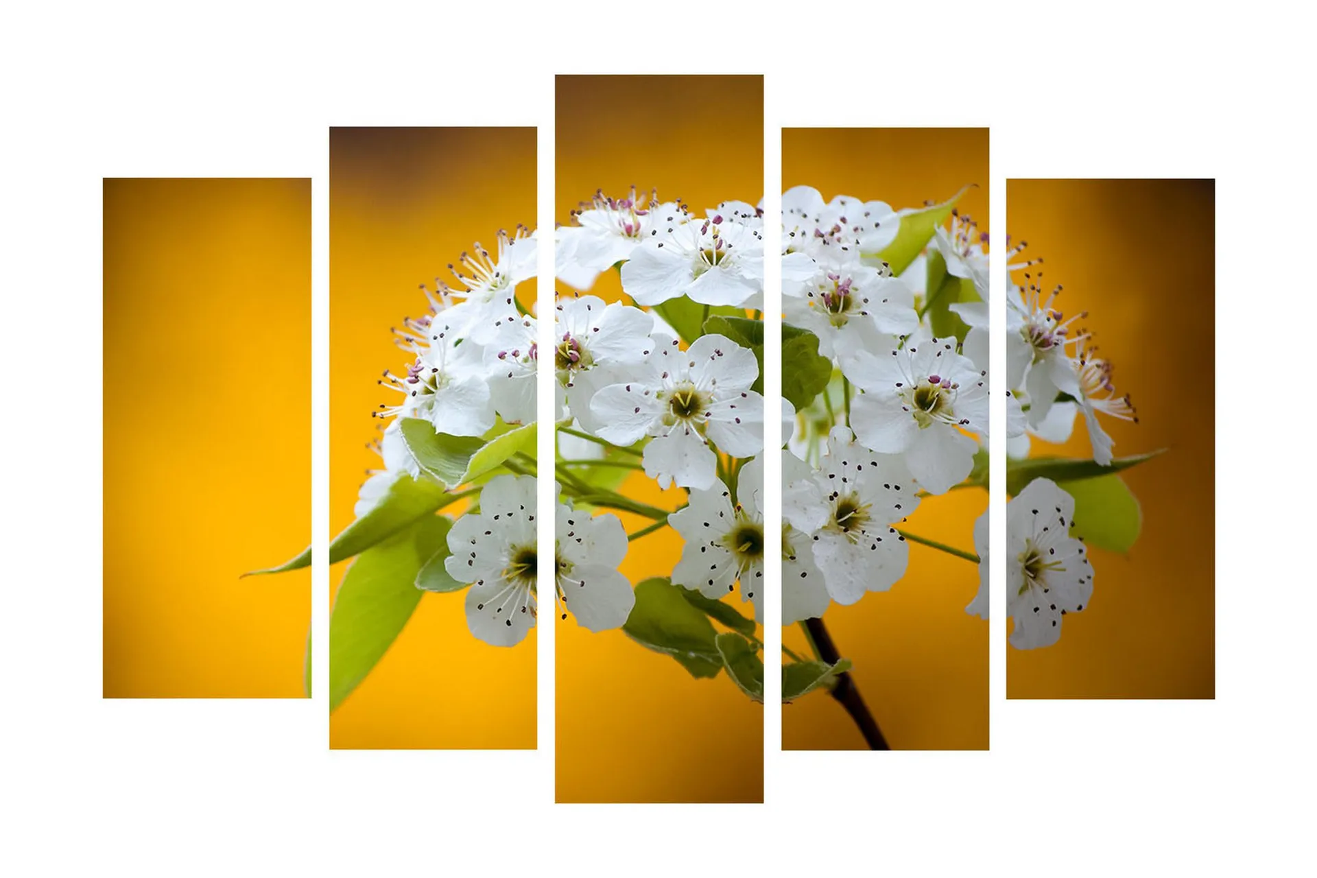 Stort lærredstryk i 5 dele 105x70 cm - Smuk buket af hvide blomster mod ...