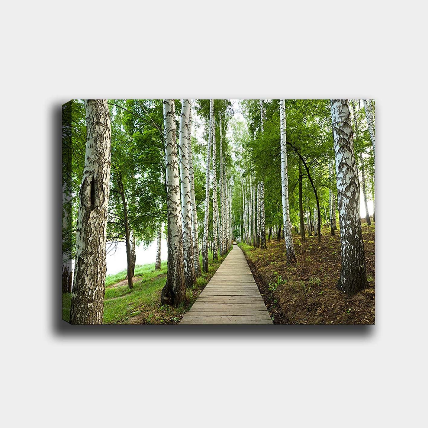 Lærred 70x100 cm - Stille skovvej omgivet af birketræer og frodig vegetation Grøn / Hvid / Brun ...