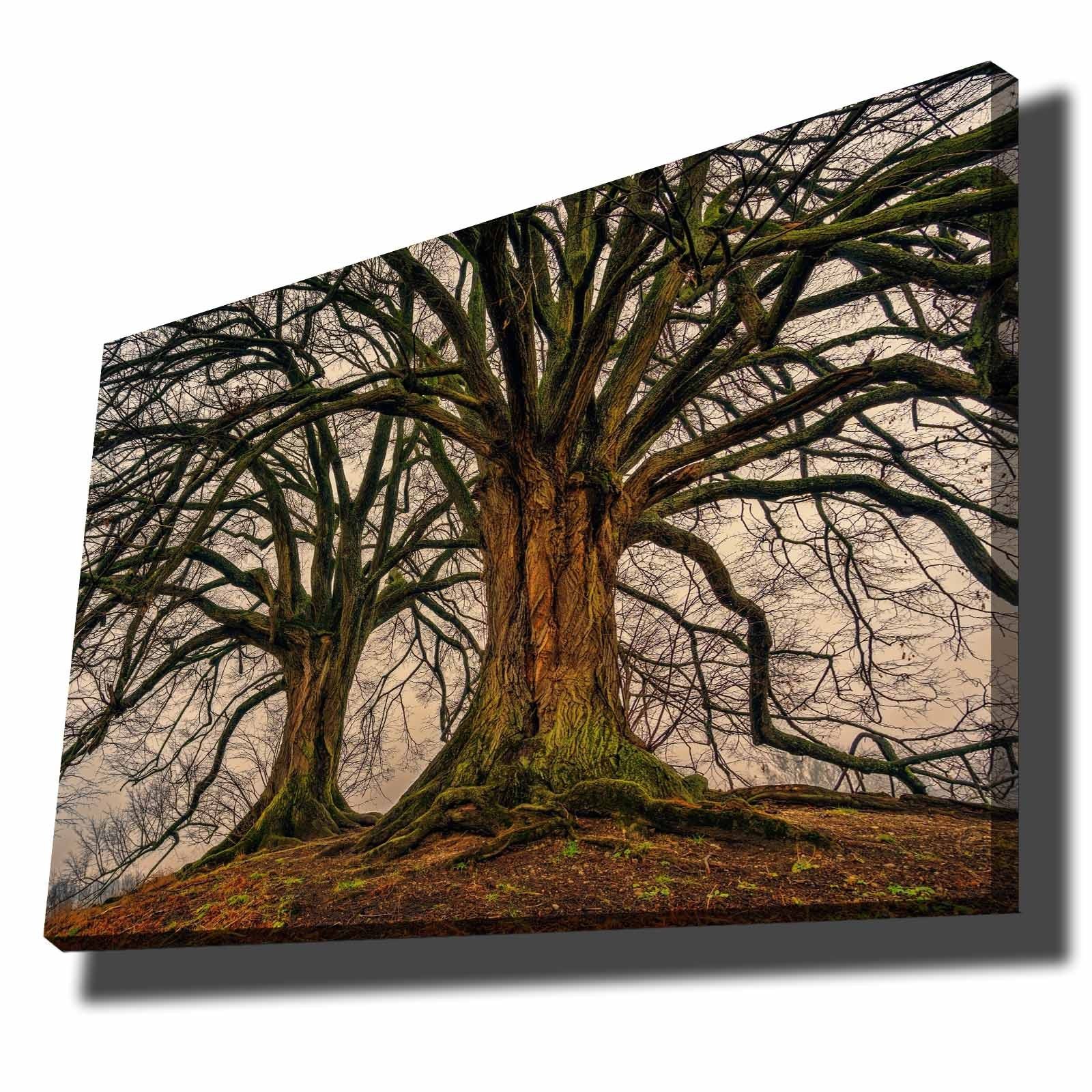 Lærred 70x100 cm - Storslåede træer med stærke grene og detaljeret bark ...